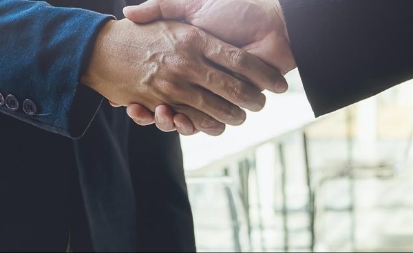 Expert Consultation | Social Impact Consulting Services by GRAAM